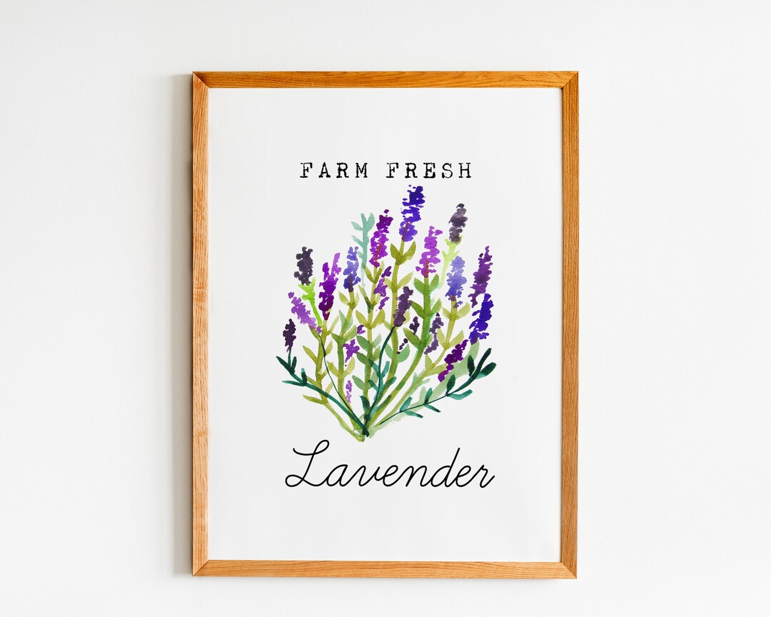 Printable Lavender Art Print - Farm Fresh Lavender Sign - Lavender Home ...