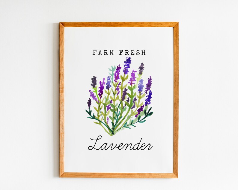 Printable Lavender Art Print Farm Fresh Lavender Sign | Etsy