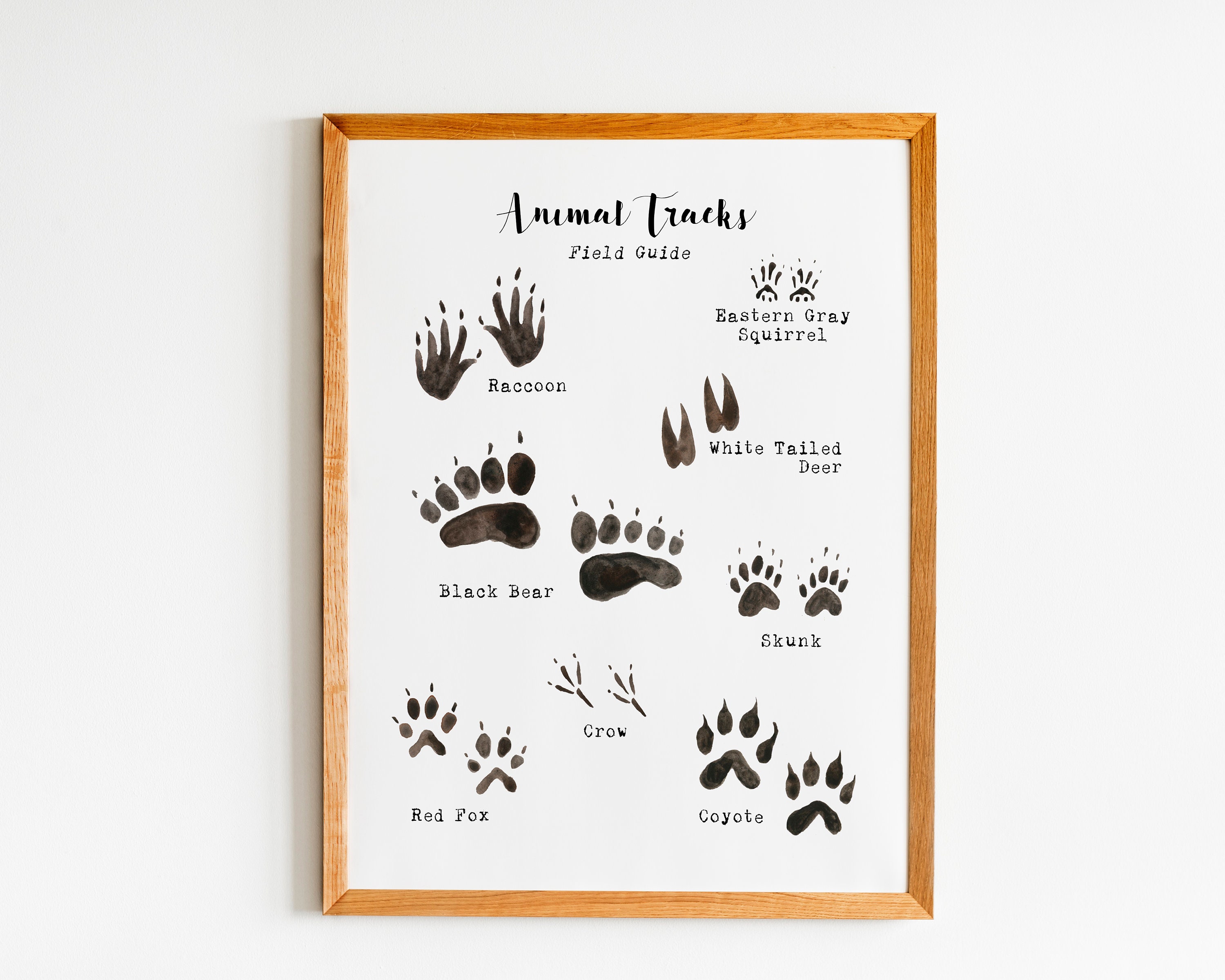 Printable Animal Wall Art Animal Tracks Poster Woodland | Etsy