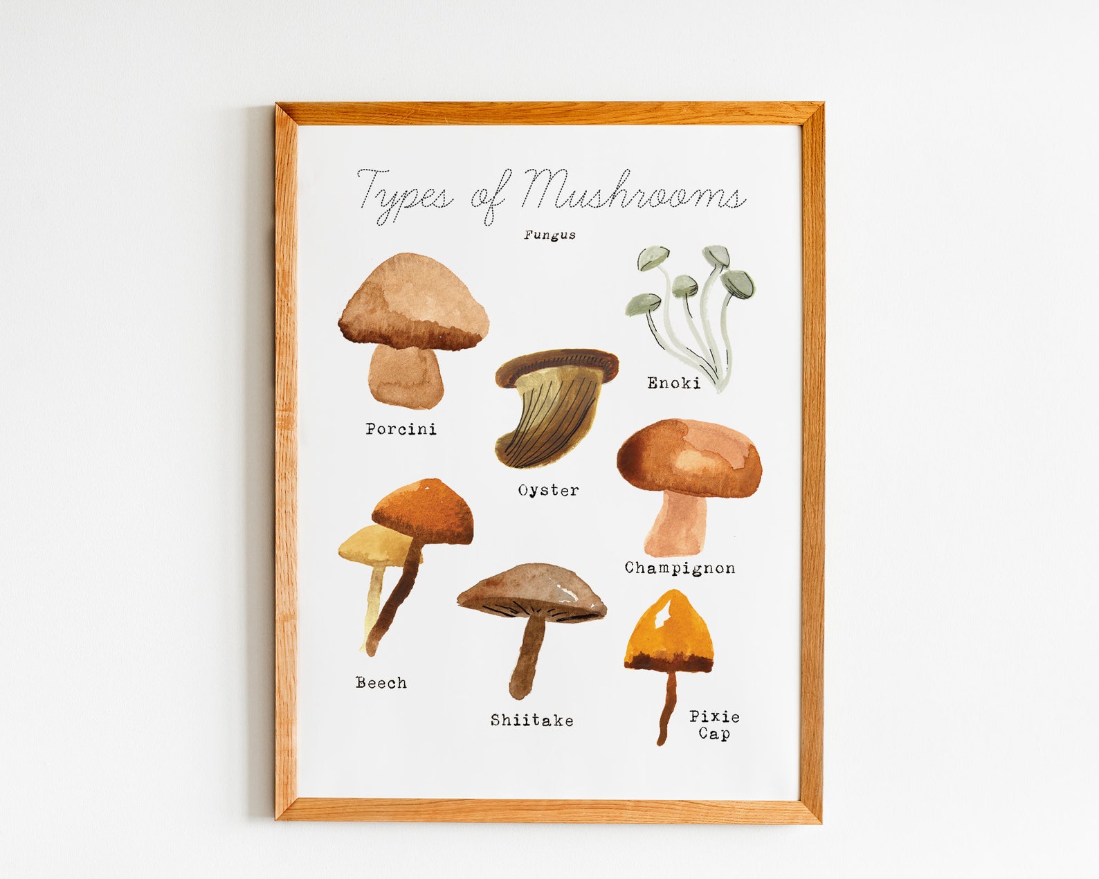 Printable Mushroom Art - Types of Mushrooms Wall Art - Kitchen Art ...