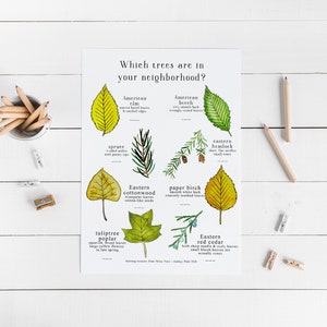 Printable Leaf Scavenger Hunt Worksheets - Home Schooling Science ...