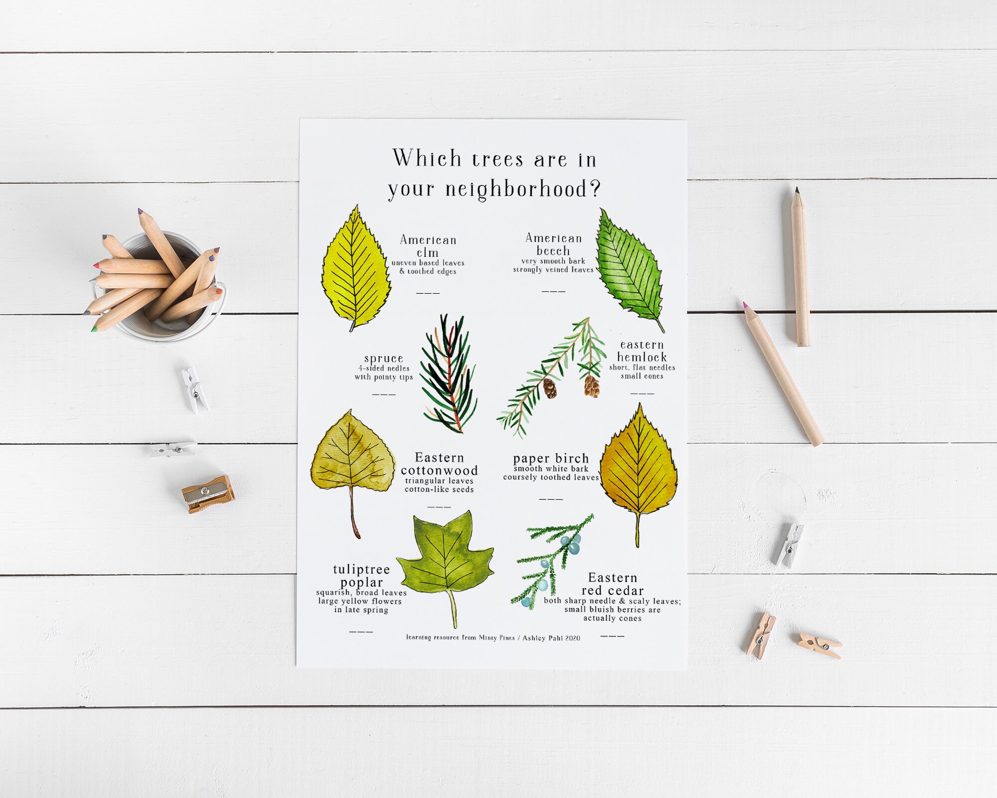 Printable Leaf Scavenger Hunt Worksheets Home Schooling | Etsy UK