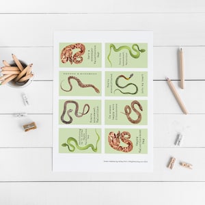 Printable Snake Valentine Cards for Kids - Classroom Valentine's Day ...