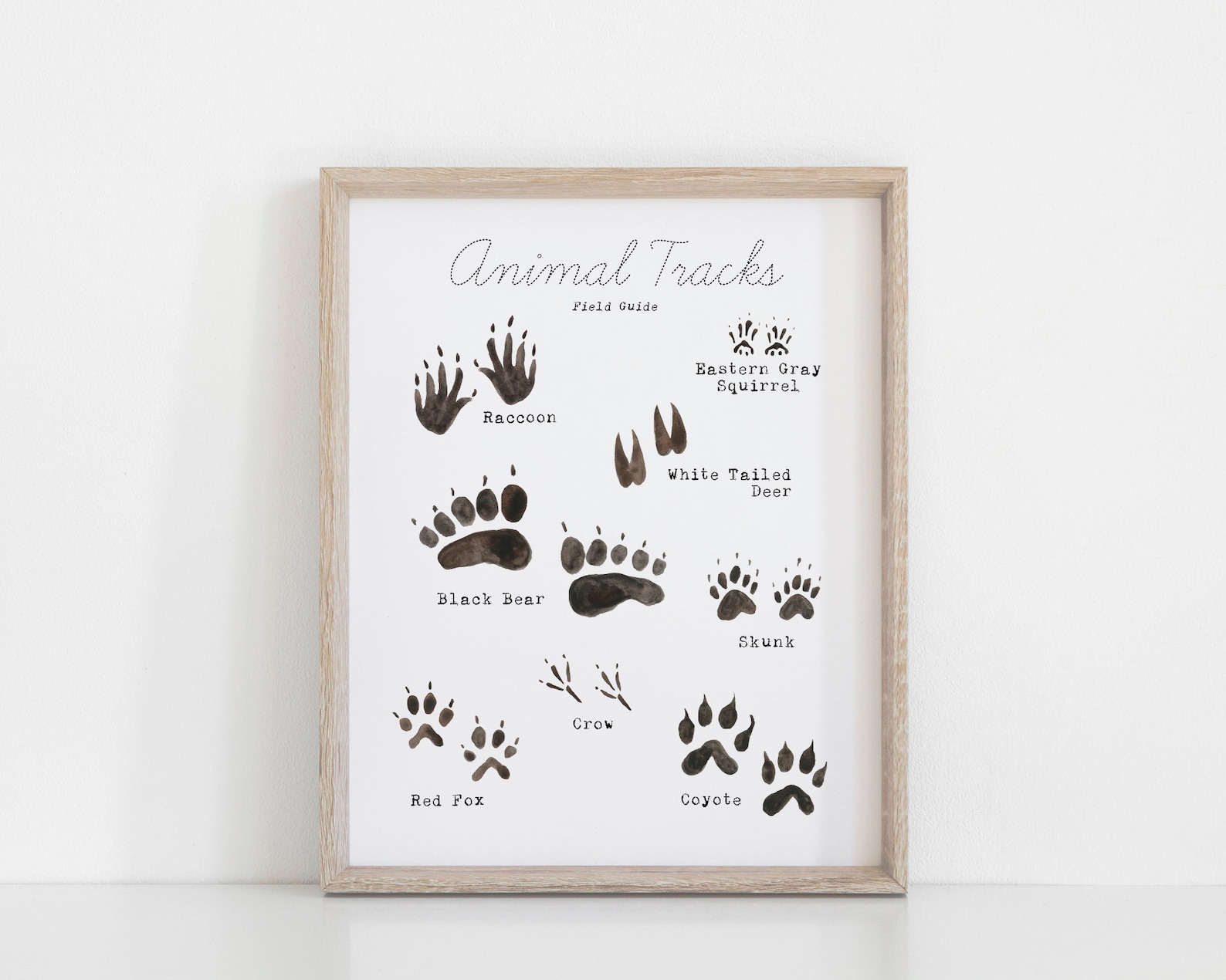 Woodland Animal Tracks Printable Wall Art Forest Animal Wall - Etsy