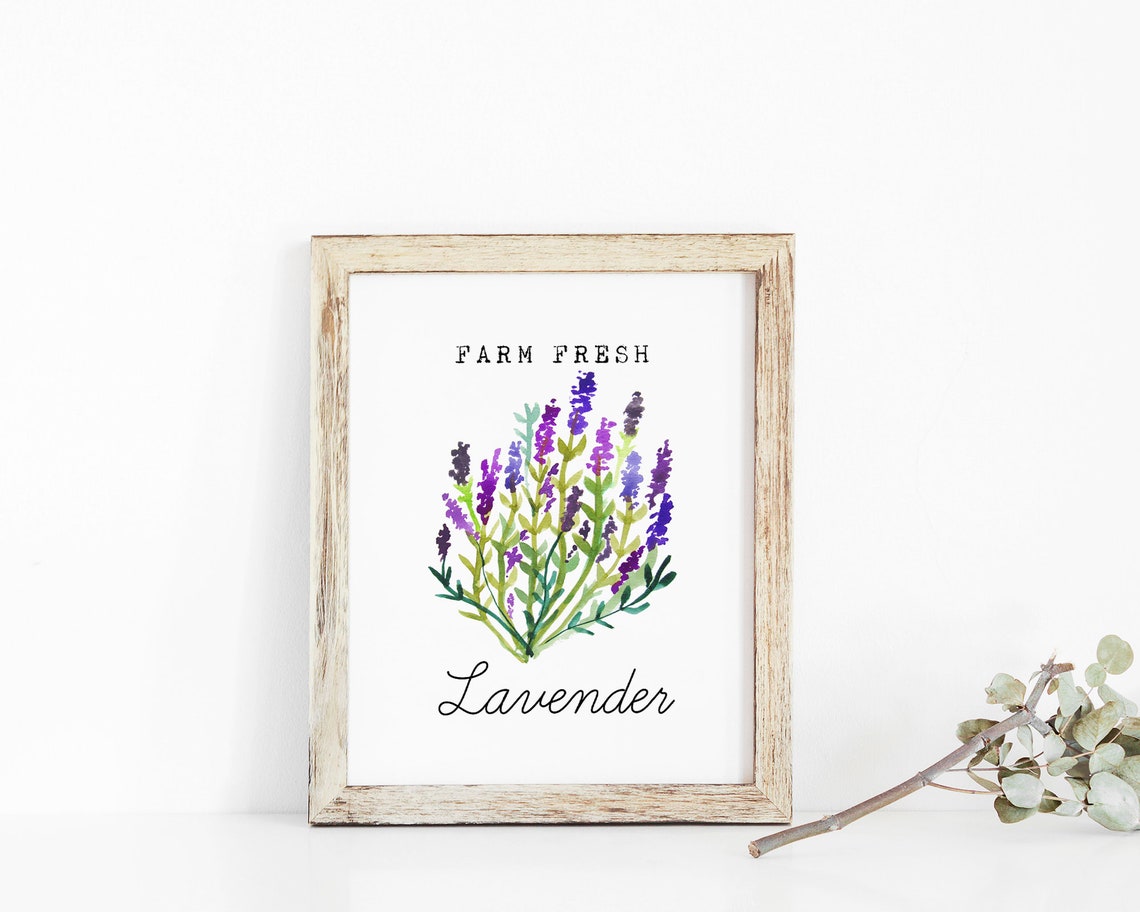 Printable Lavender Art Print - Farm Fresh Lavender Sign - Lavender Home ...