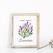 Printable Lavender Art Print Farm Fresh Lavender Sign - Etsy