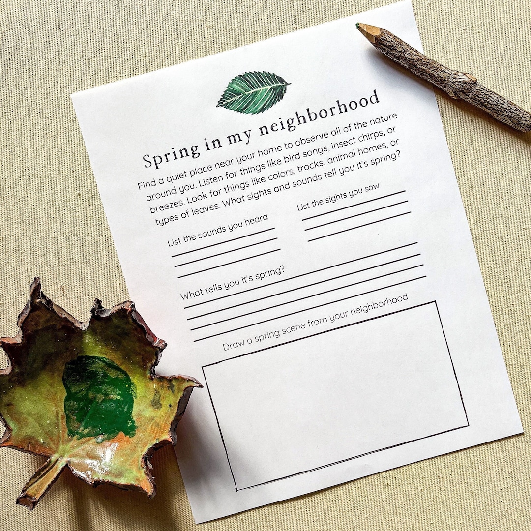 Printable Nature Worksheet Spring in My Neighborhood Observations Page ...