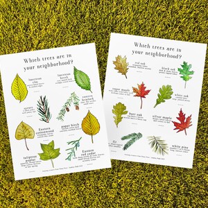 Printable Leaf Scavenger Hunt Worksheets - Home Schooling Science ...