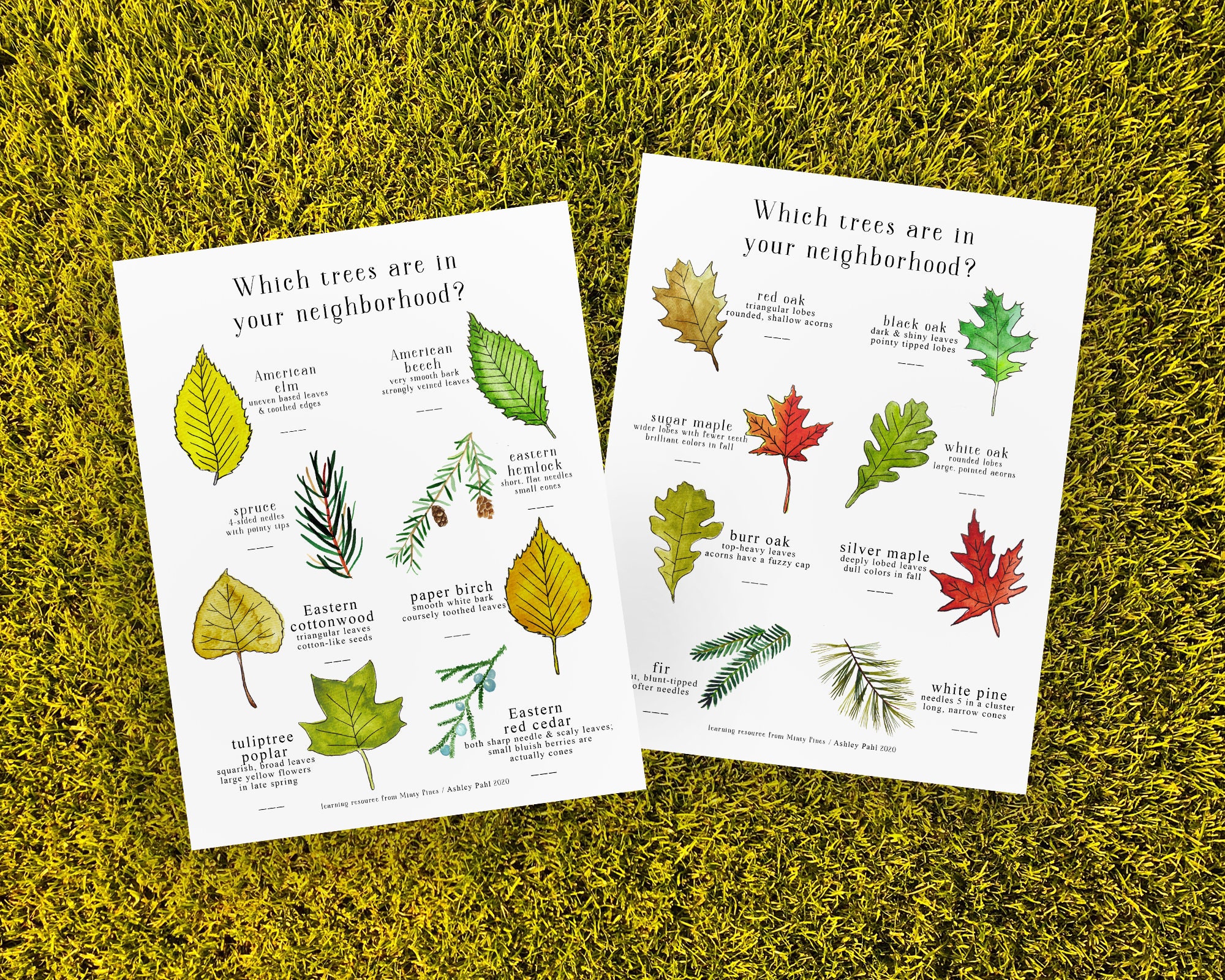 Printable Leaf Scavenger Hunt Worksheets Home Schooling | Etsy UK