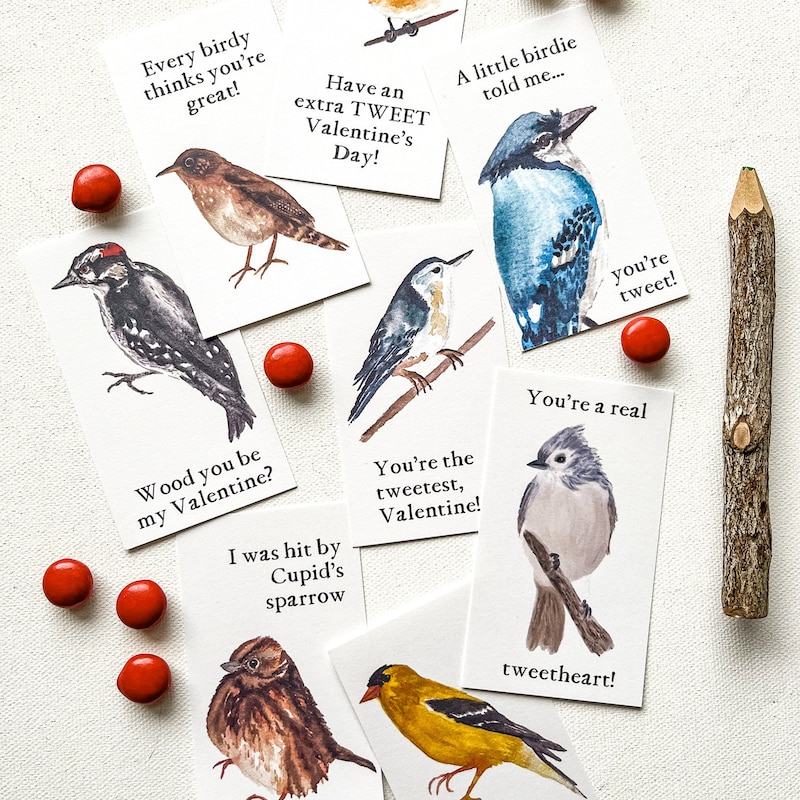 Bird Pun Greeting Cards - Etsy