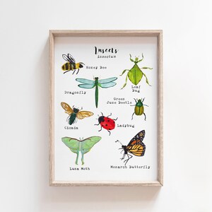 Printable Insect Wall Art Insect Field Guide Print Homeschool Decor ...