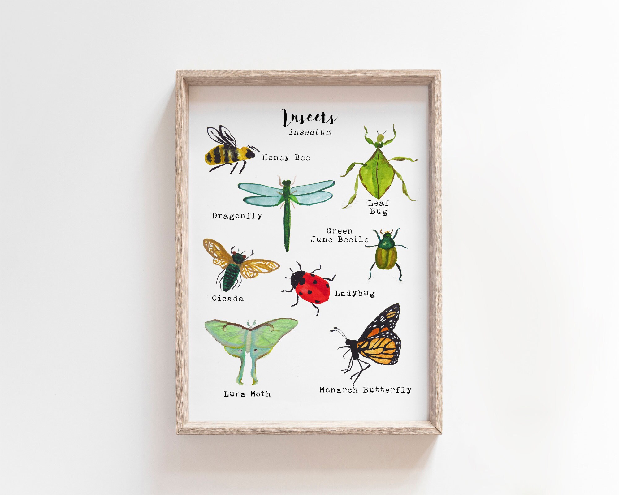 Printable Insect Wall Art Insect Field Guide Print - Etsy