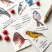 Bird Valentine Cards Mini Cards for Classroom Valentine's Day Parties ...