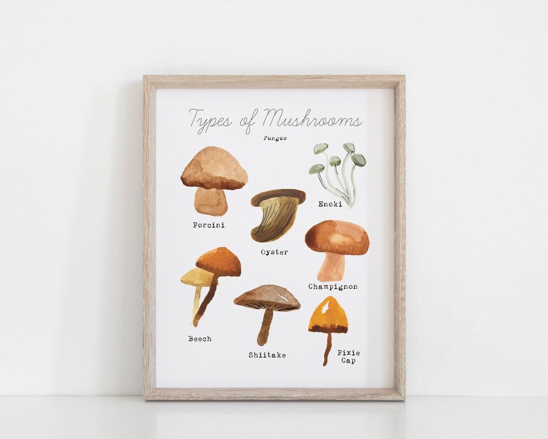 Printable Mushroom Art - Types of Mushrooms Wall Art - Kitchen Art ...