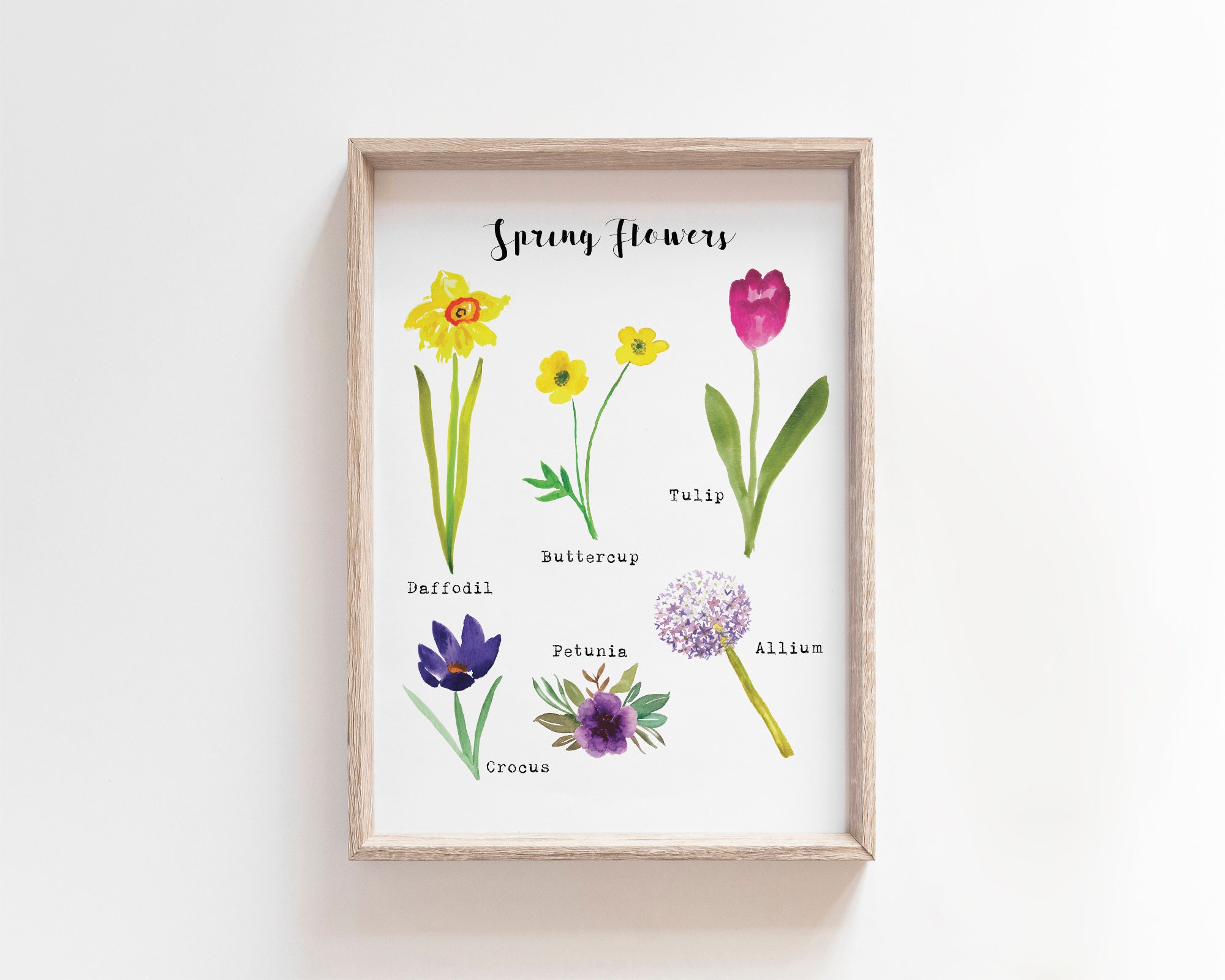 Printable Spring Flowers Art Print Educational Wall Art for | Etsy