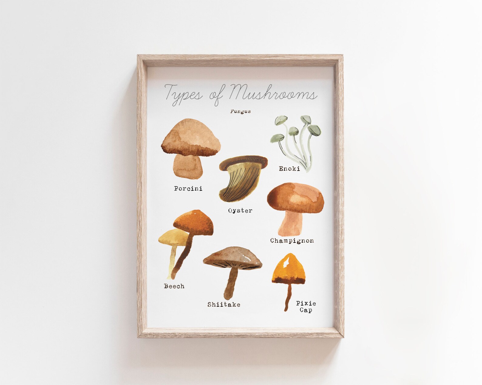 Printable Mushroom Art - Types of Mushrooms Wall Art - Kitchen Art ...
