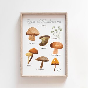 Printable Mushroom Art - Types of Mushrooms Wall Art - Kitchen Art ...
