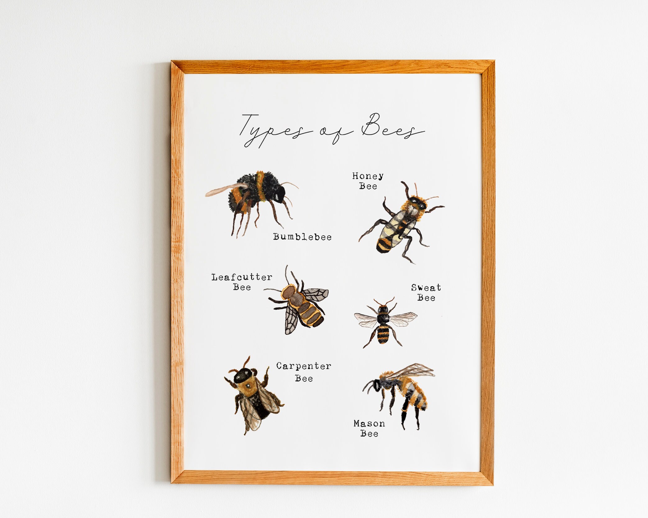Printable Bee Art Print - Types of Bees Poster - Bug Print - Homeschool ...