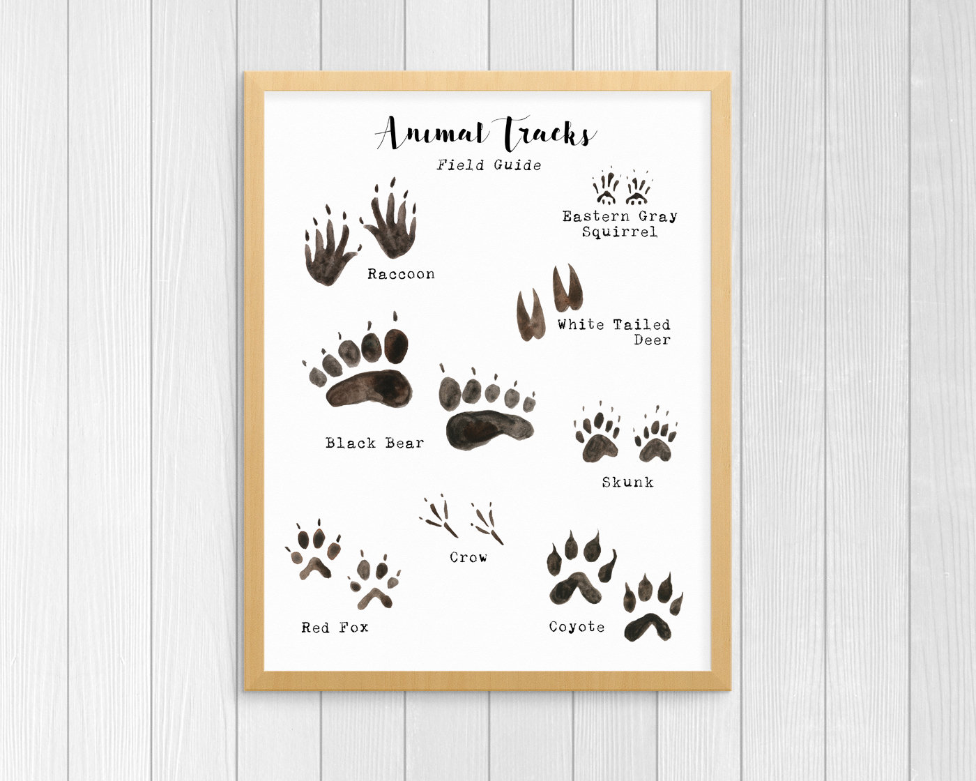 Printable Animal Wall Art Animal Tracks Poster Woodland | Etsy