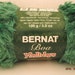 Bernat Boa Holidays Yarn 100 Grams 129 Yards Holly Green 5 Bulky - Etsy
