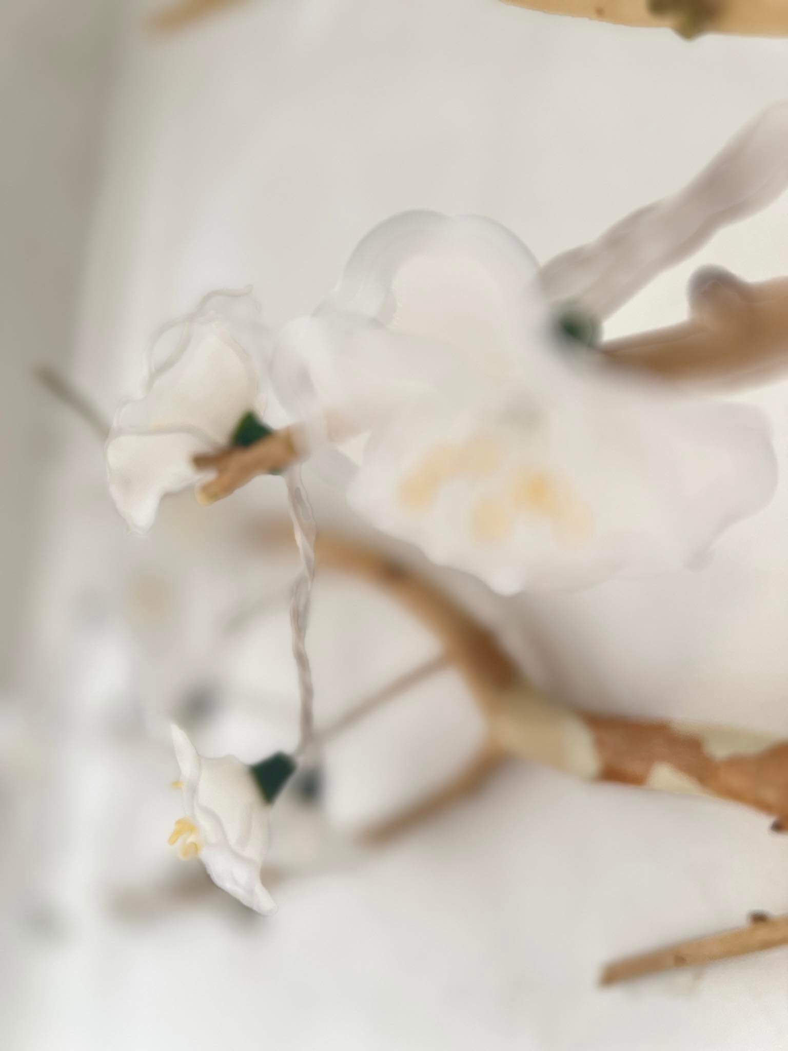 Handmade White Flower String Lights for Patio,wedding,party and ...