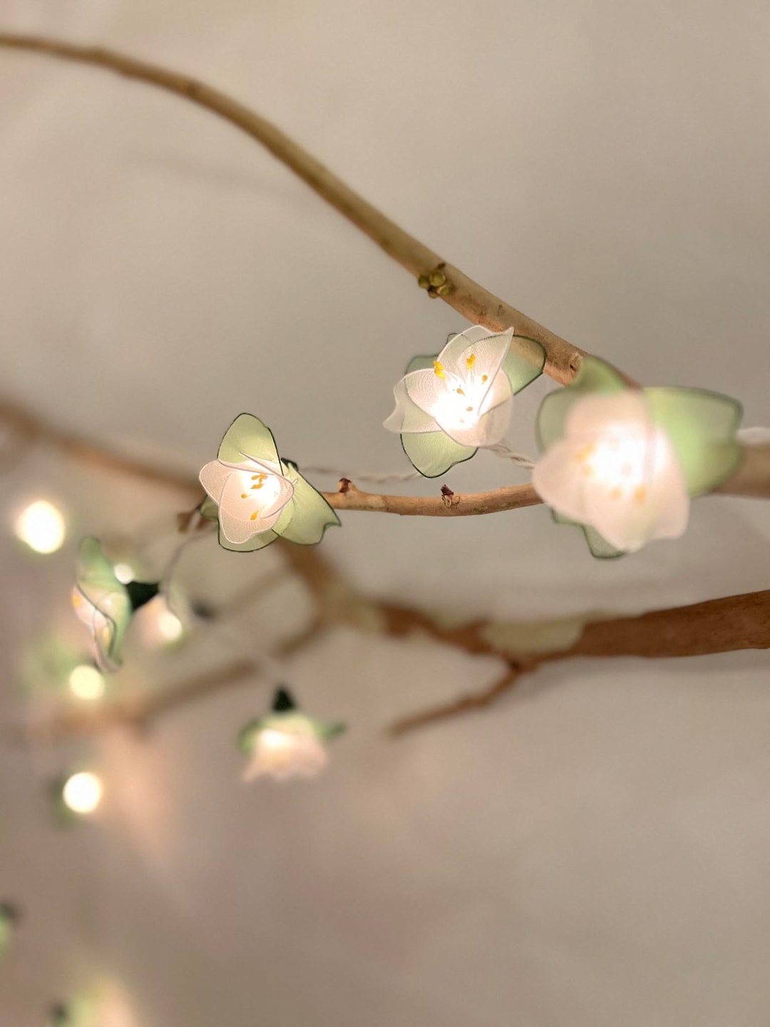 Handmade White & Green Flower Fairy Lights Decoration: 20 Bulb EU 220 ...