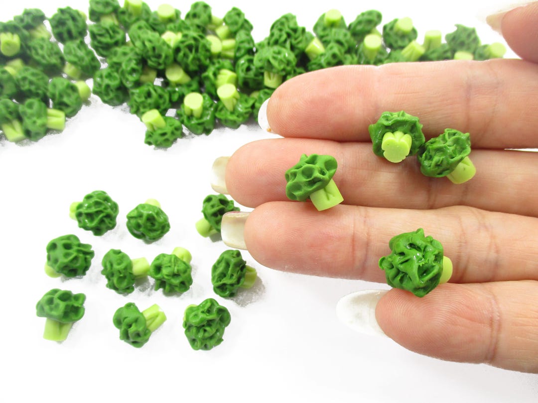 100 Miniature Broccoli Dollhouse Vegetable Dollhouse Miniature Cooking ...