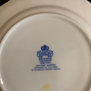 Aynsley China Plate, Vintage Cottage Garden Pattern Swirl Bone China ...