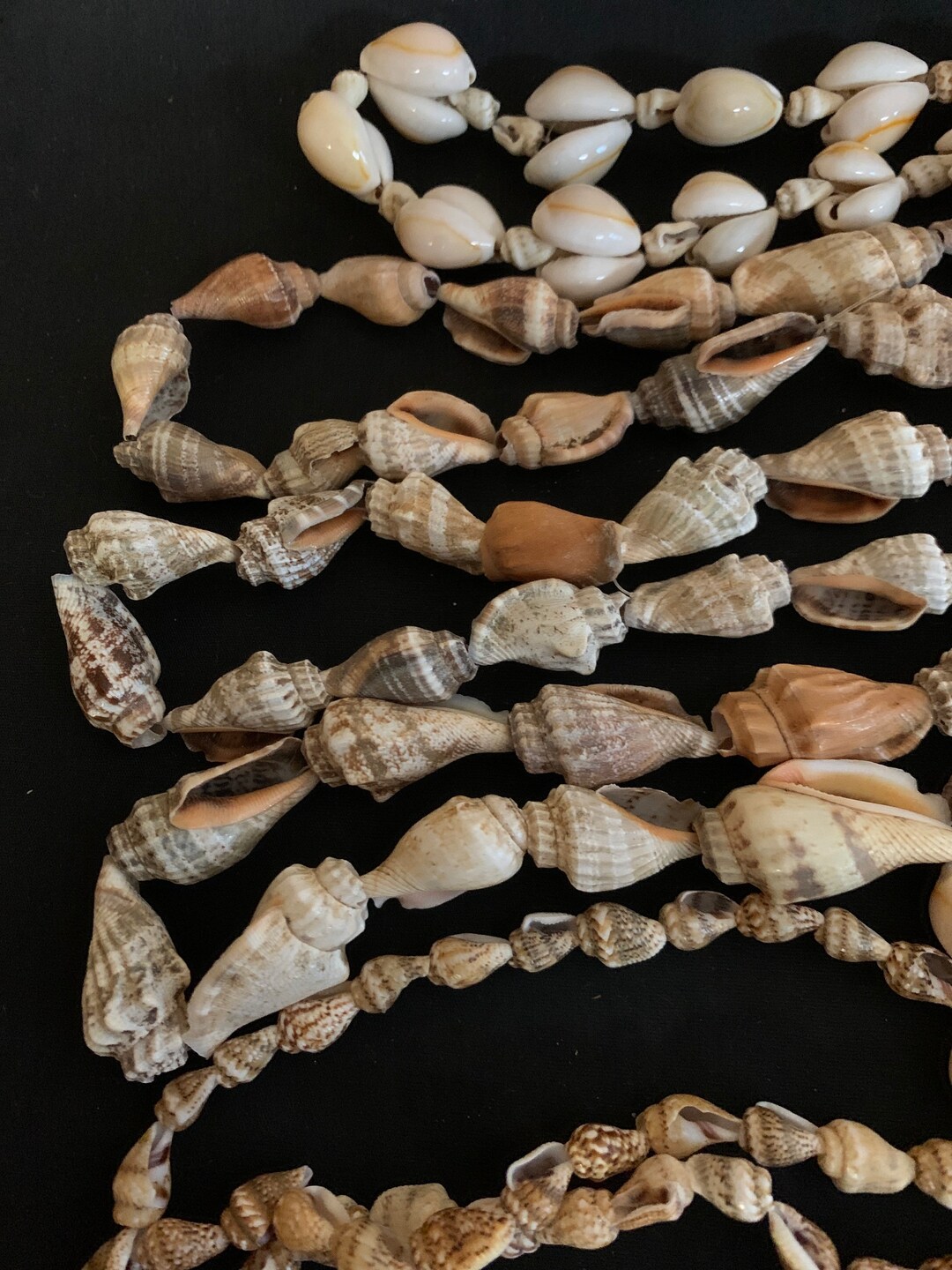 3 Real Seashell Necklaces, Vintage Shell Jewelry Bundle, Cowrie Shells ...