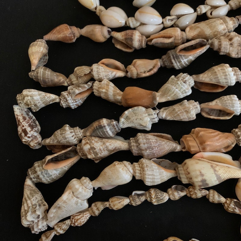 Real Seashell Necklace - Etsy