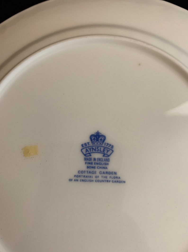 Aynsley China Plate Vintage Cottage Garden Pattern Swirl Bone - Etsy
