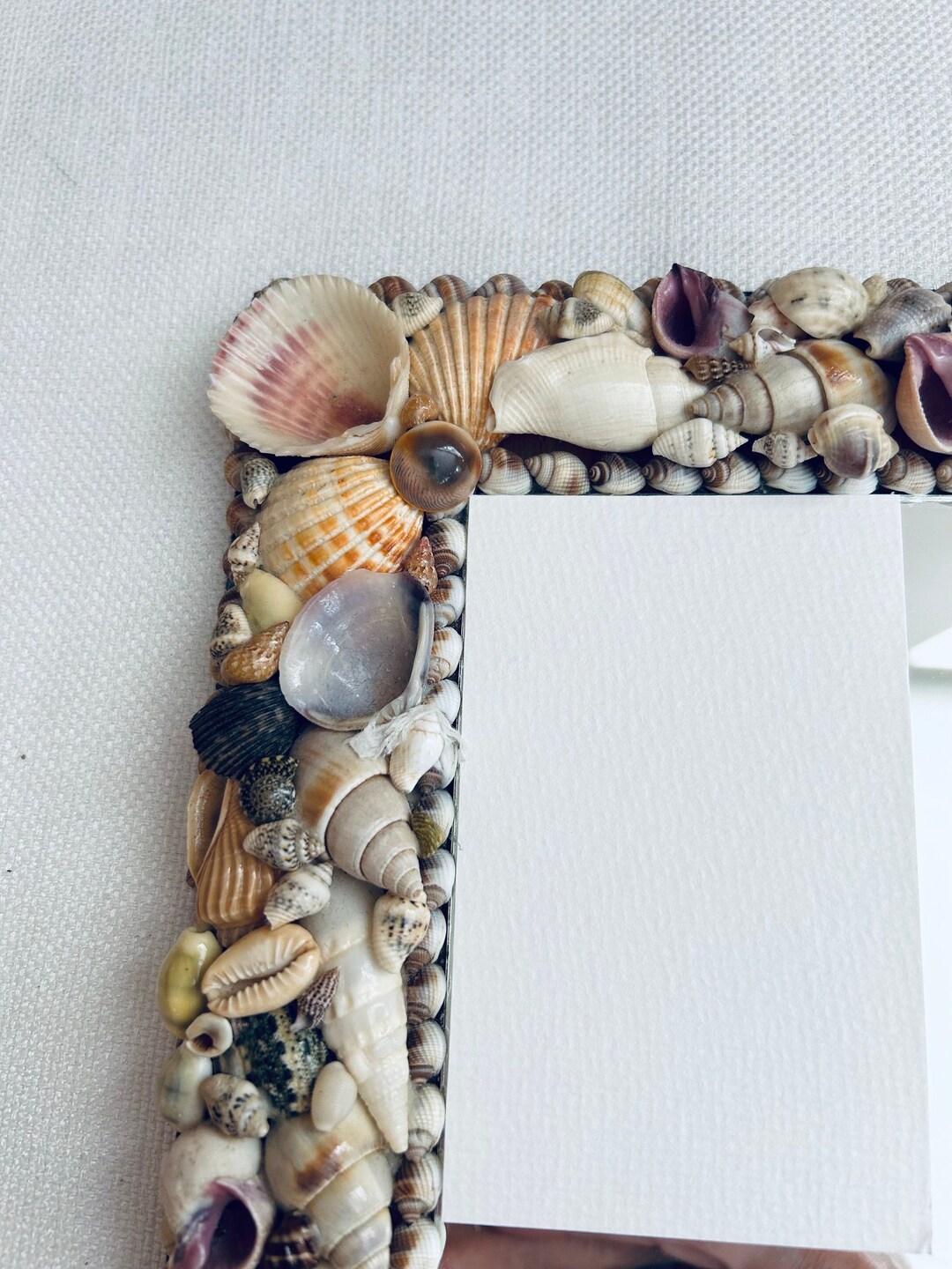 Vintage Sea Shell Mirror, 11 in Square Gallery Wall Decor, Tropical ...