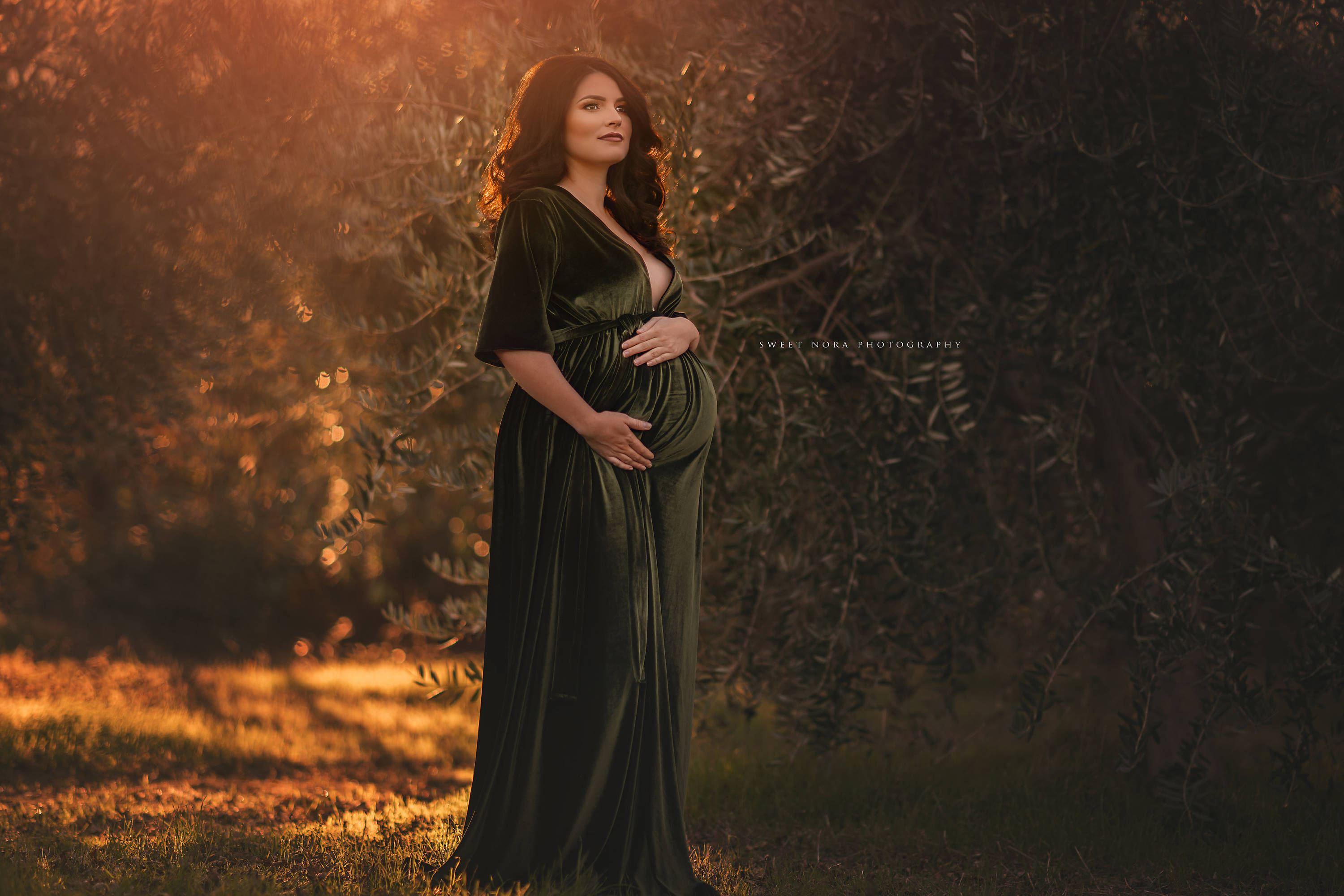 Maternity Dress for Photoshoot Boho Chic Dress Velvet | Etsy