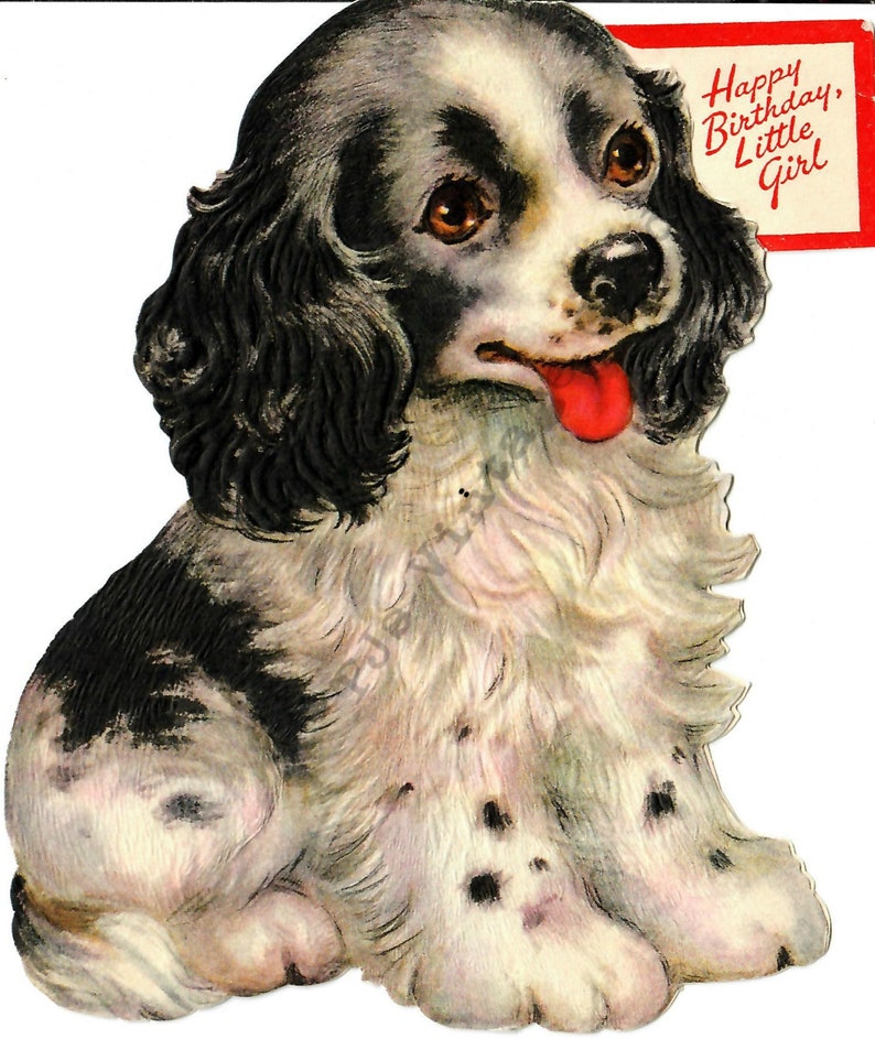 Spaniel Black/white Puppy Dog Double Sided Adorable Vintage Greeting ...