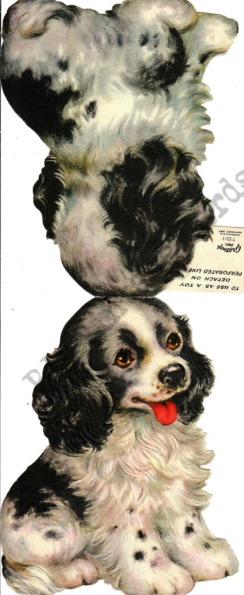 Spaniel Black/white Puppy Dog Double Sided Adorable Vintage Greeting ...