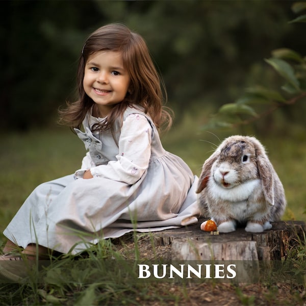 Easter Bunny Clip - Etsy