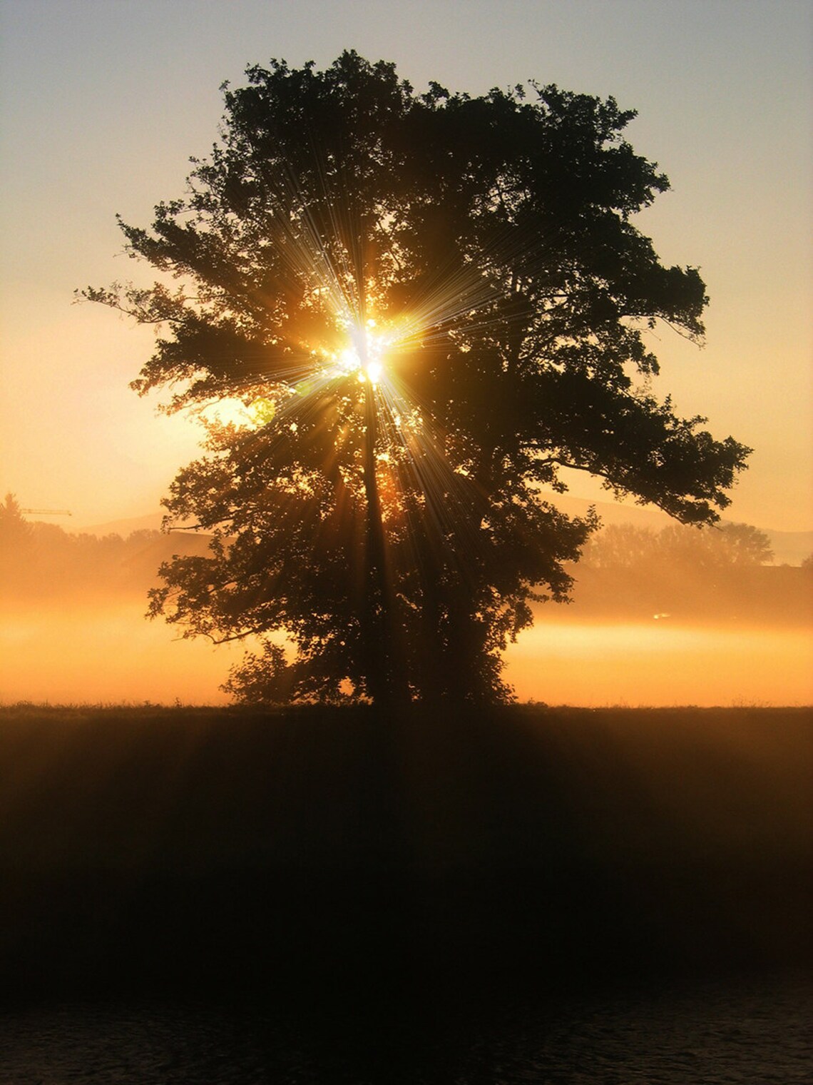 Sun Lens Flare Photoshop Overlays Photo Editing Natural - Etsy