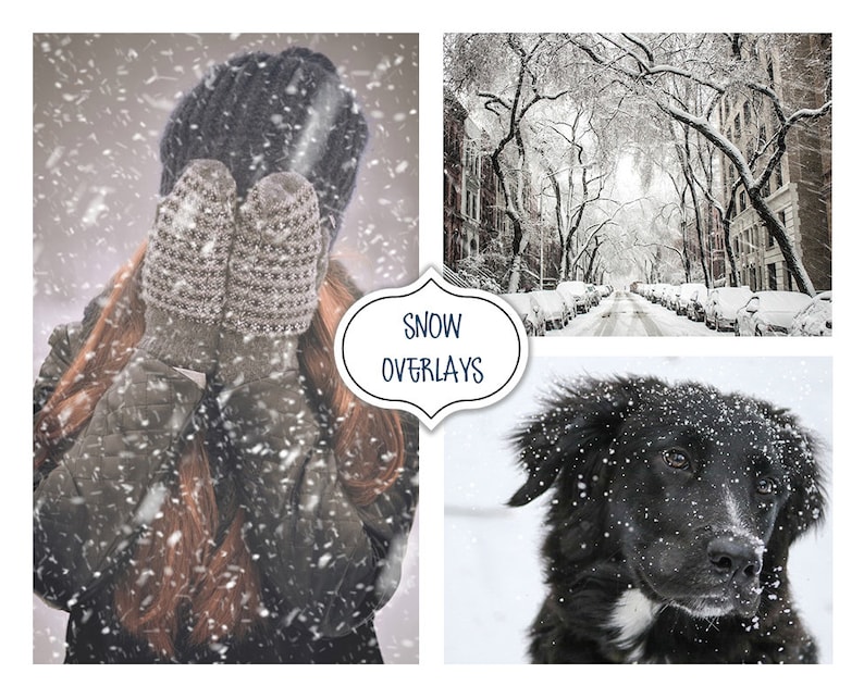 Snow Overlays Photo Editing Christmas Tree Winter Effects - Etsy