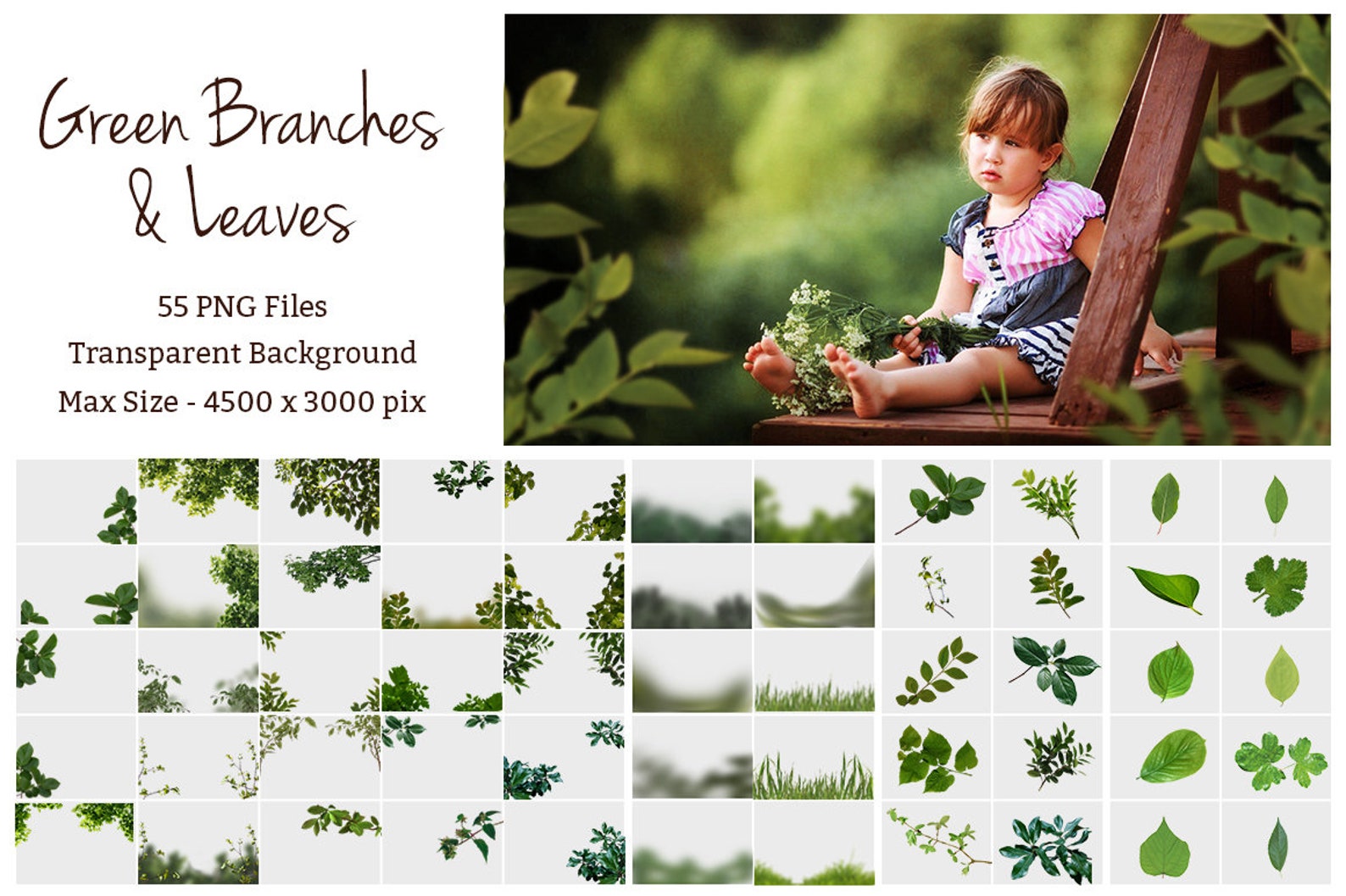 Green Branches and Leaves Overlays, 55 PNG Photoshop Overlay ...