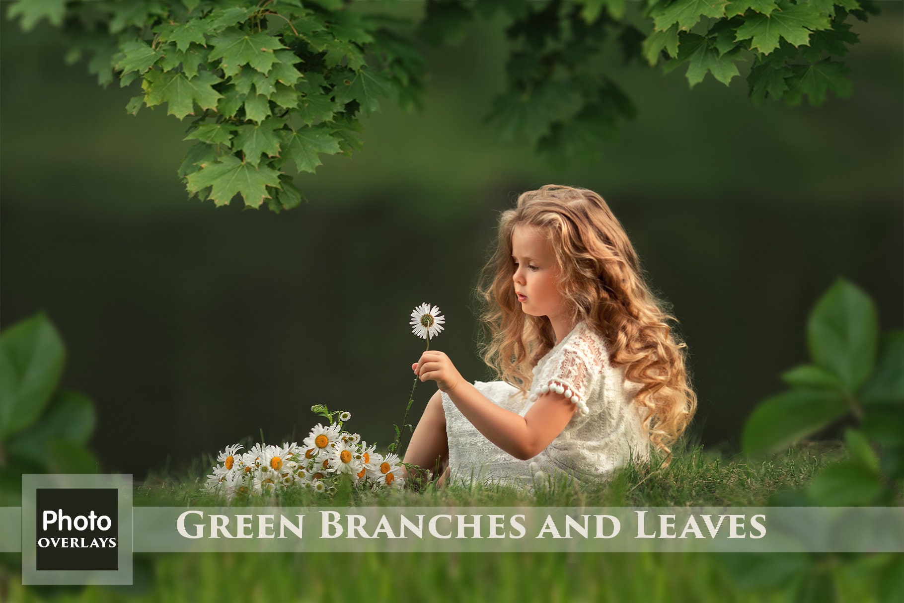 Green Branches and Leaves Overlays 55 PNG Photoshop Overlay - Etsy