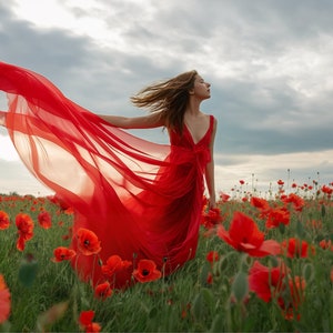 Poppy Field Backgrounds and Overlays, 50 PNG Photoshop Overlay ...