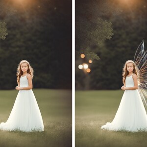 Angel Wings, 47 Overlays, Light Spot, Christmas, Light Photo Overlays ...