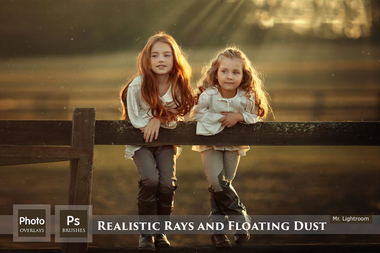 Realistic Rays and Floating Dust Brushes and Overlays, Photography Prop ...