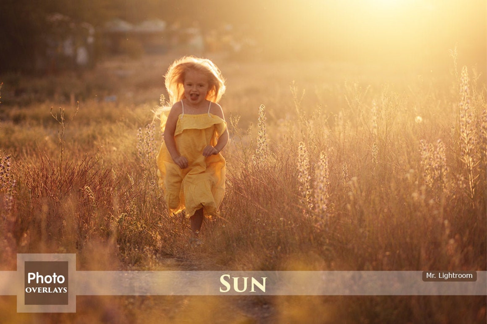 Sun Photo Overlays, Sunlight Sunshine Overlays, Light Photo Overlays ...