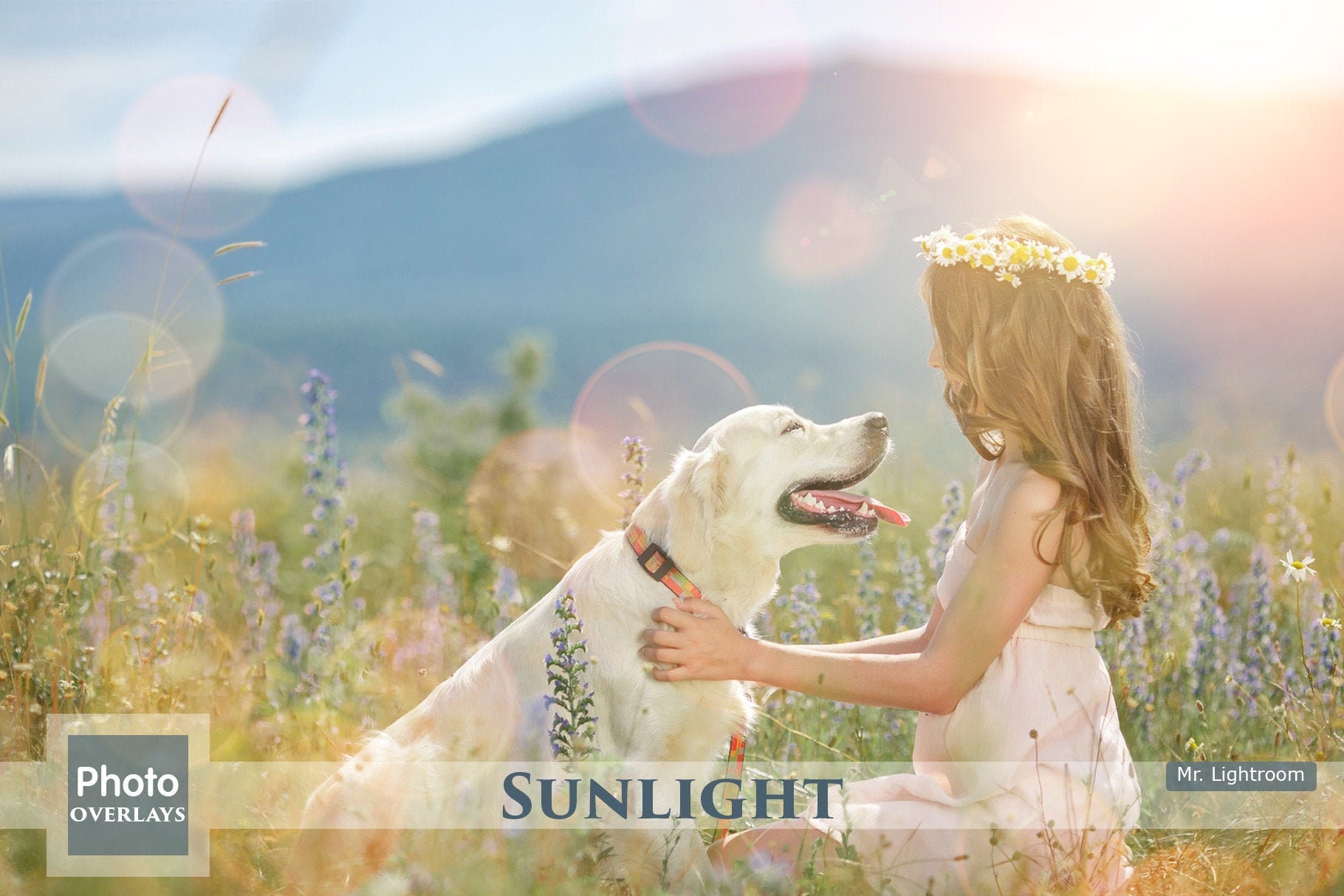 Sunlight Photo Overlays, Sunshine Overlays, Light Photo Overlays, Bokeh ...