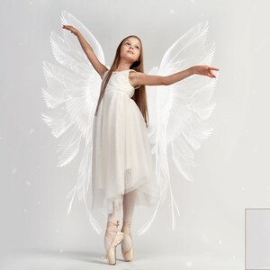 Angel Wings, 47 Overlays, Light Spot, Christmas, Light Photo Overlays ...
