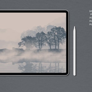 145 Procreate Landscape Stamp Brushes, Speed Painting, Forest ...