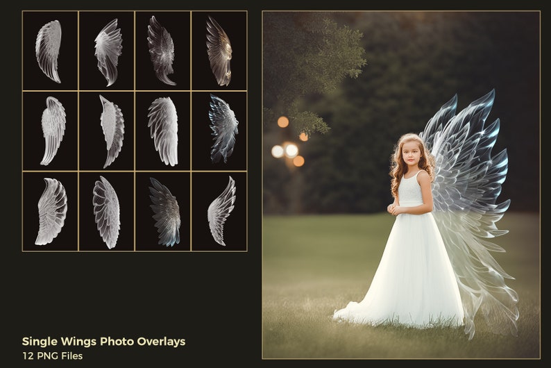 Angel Wings, 47 Overlays, Light Spot, Christmas, Light Photo Overlays ...
