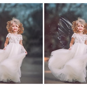Angel Wings, 47 Overlays, Light Spot, Christmas, Light Photo Overlays ...