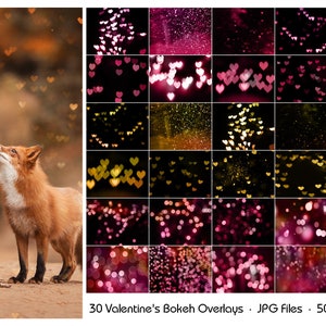 30 Valentines Overlays, Pink Bokeh, Gold Hearts Overlay, Red, Photoshop ...